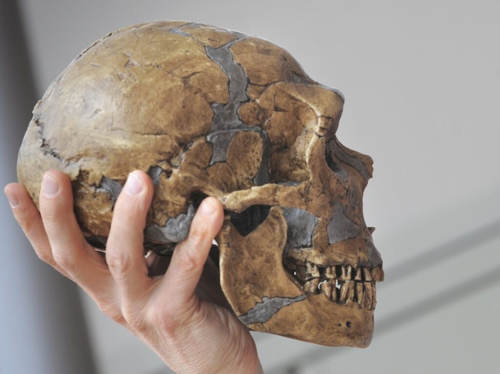 Center for the Human Past – Bridging genetics, archaeology ...